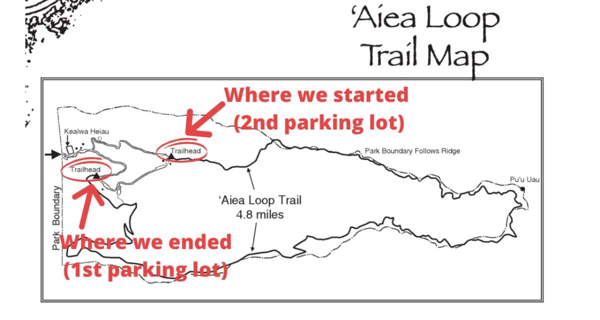 Aiea Loop Trail - Yes to Hawaii